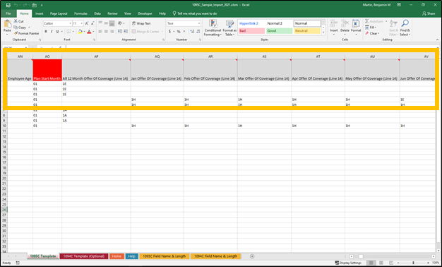 Preparing your 1095 Import Template – Yearli Quick Start Guide